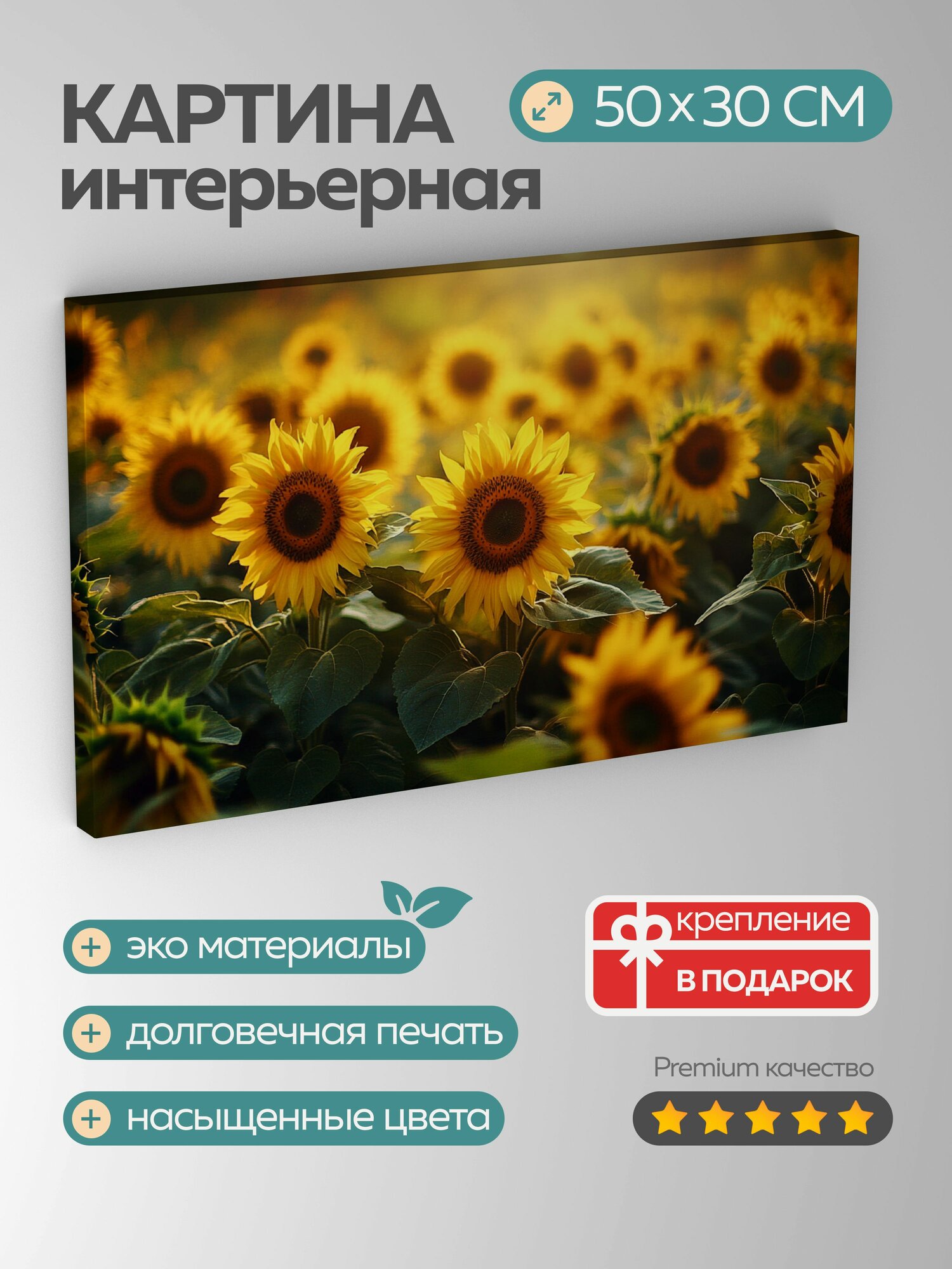 Картина на холсте интерьерная 50х30 см, подсолнечники, поле, желтые цветы, солнечный свет, зеленая листва, ISO 100, f