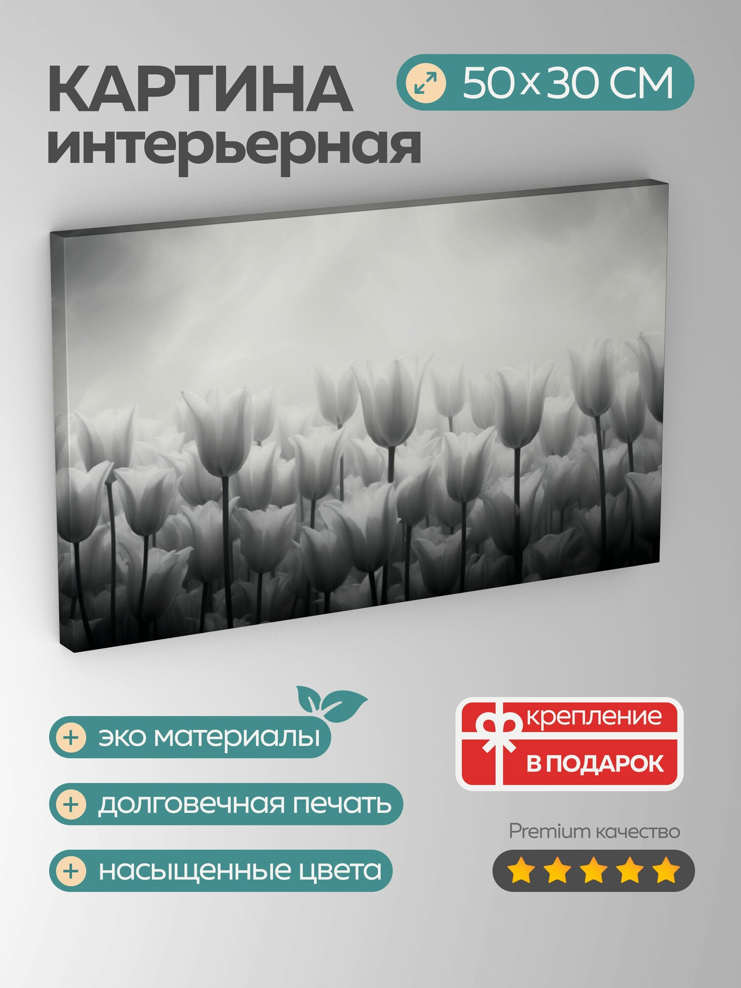 Картина на холсте интерьерная 50х30 см, черно-белая фотография, тюльпанный взрыв, поле, тюльпаны, лепестки