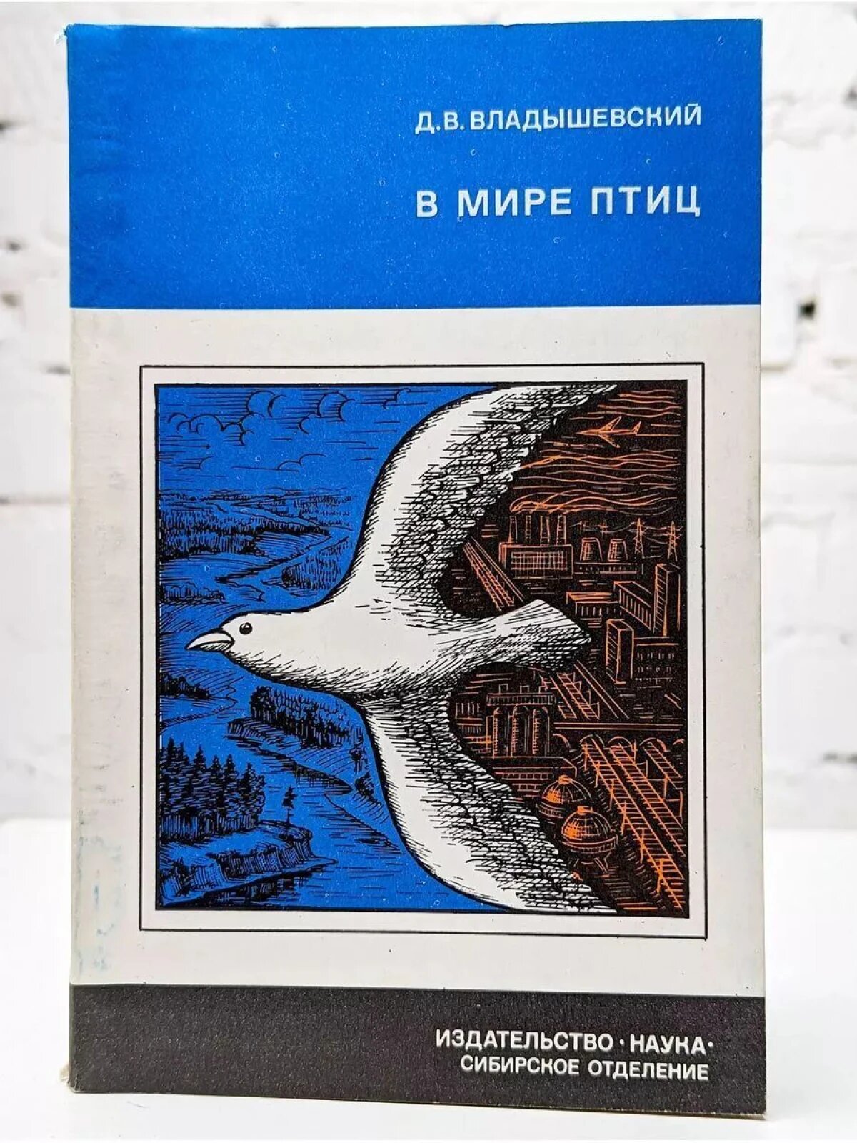 В мире птиц