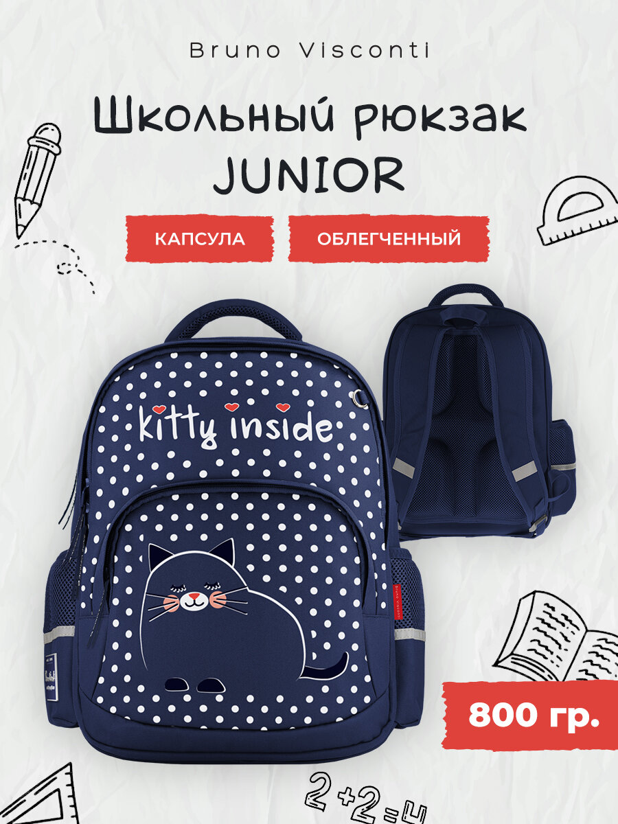 Рюкзак школьный классический для девочки Bruno Visconti "жизнь удалась", синий, с эргономичной спинкой арт.12-002-088/02