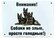 Табличка на забор "Злая собака", предупреждающая, ПВХ 3 мм, УФ печать, размер 17...