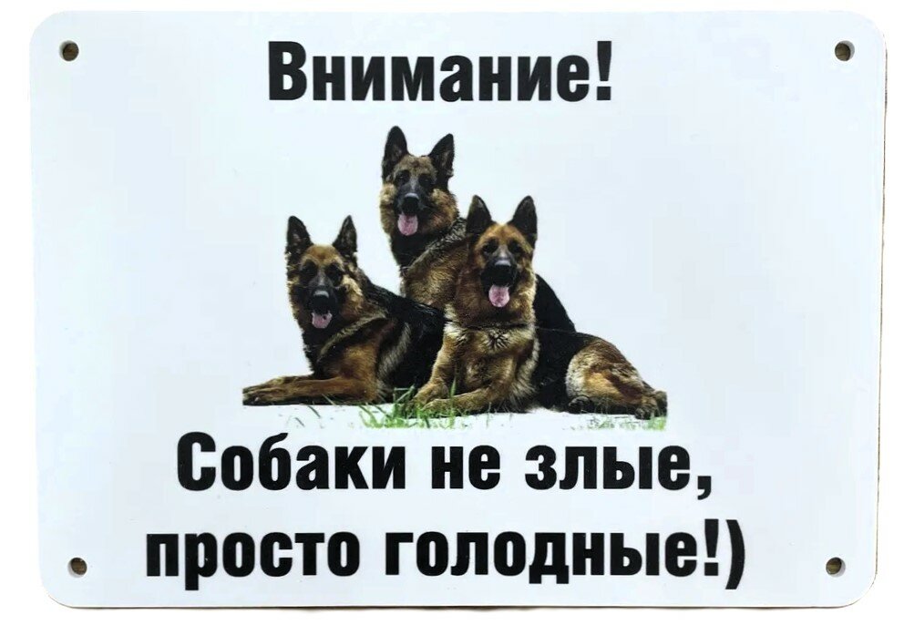 Табличка на забор "Злая собака", предупреждающая, ПВХ 3 мм, УФ печать, размер 17х22 см