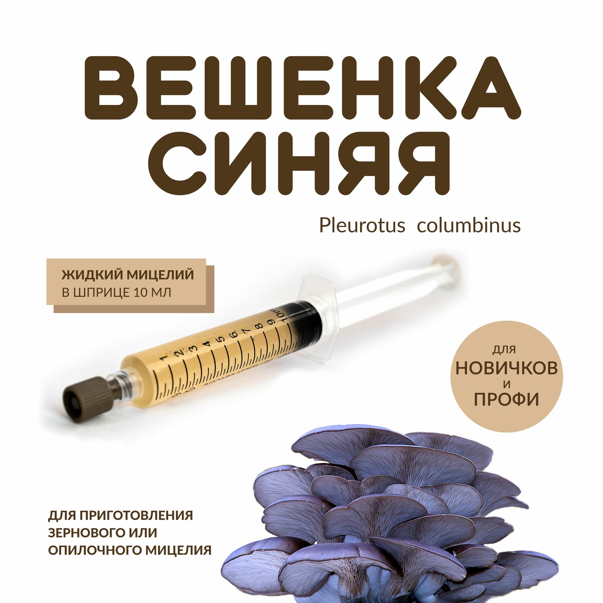 Жидкий мицелий Вешенки синей (колумбийской)