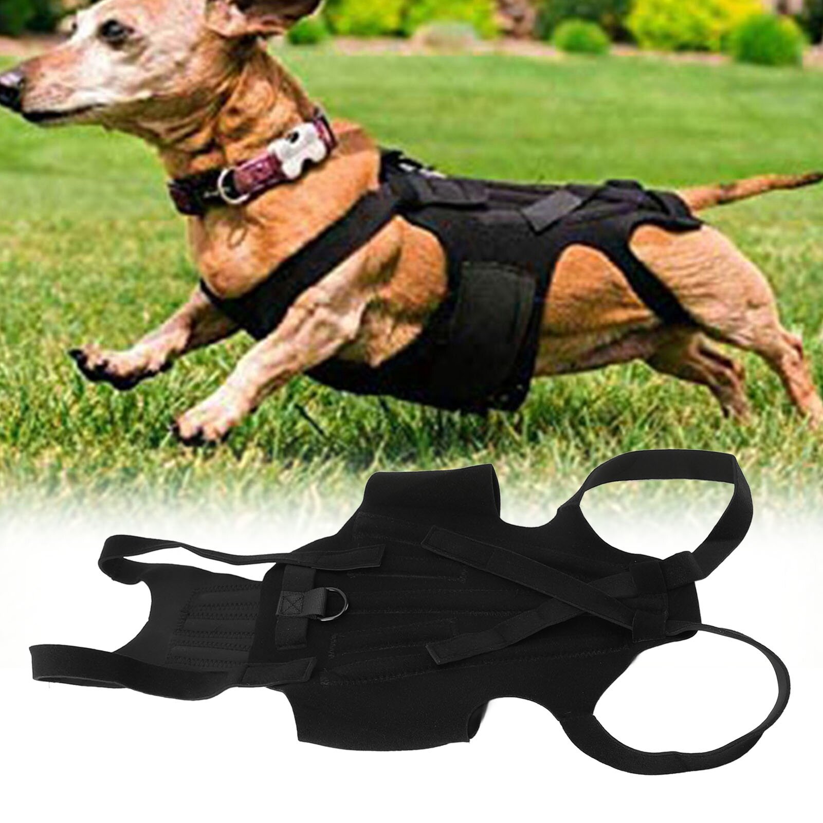 Корсет для спины для собак при артрите межпозвоночных дисков, хирургии позвоночника, восстановлении, облегчении дискомфорта в спине, сильной жесткости, поддерживающий жилет M