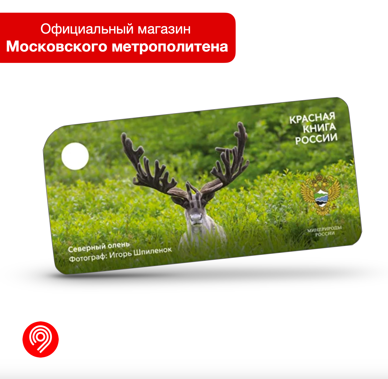 Брелок "Тройка" Красная книга России - Северный олень