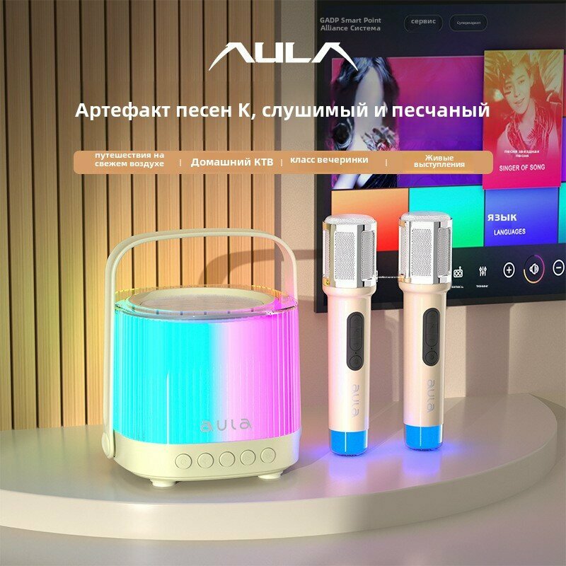 Музыкальный центр с караоке и Bluetooth 5.3, 2 микрофона, RGB подсветка, портативный для дома и вечеринок