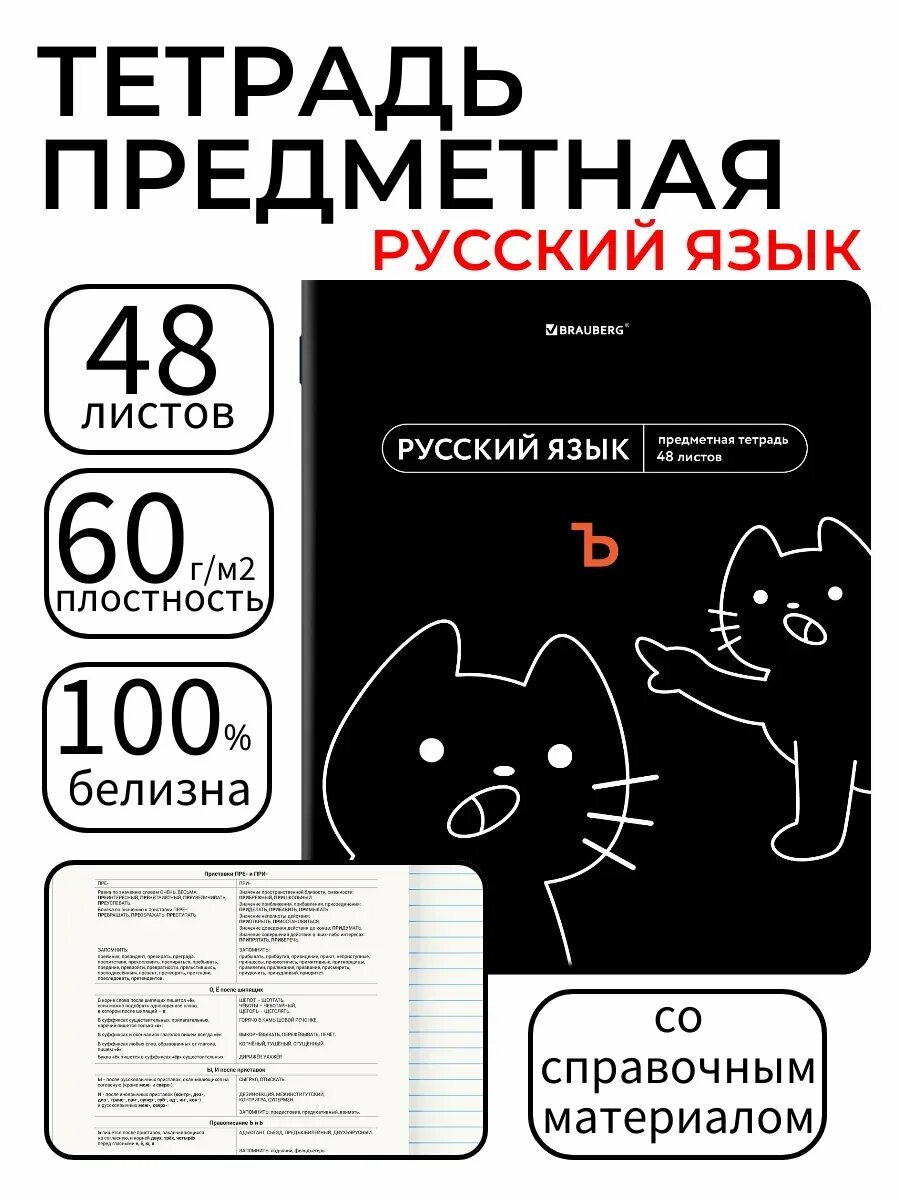 Предметная тетрадь по Русскому языку, линия, Мемы