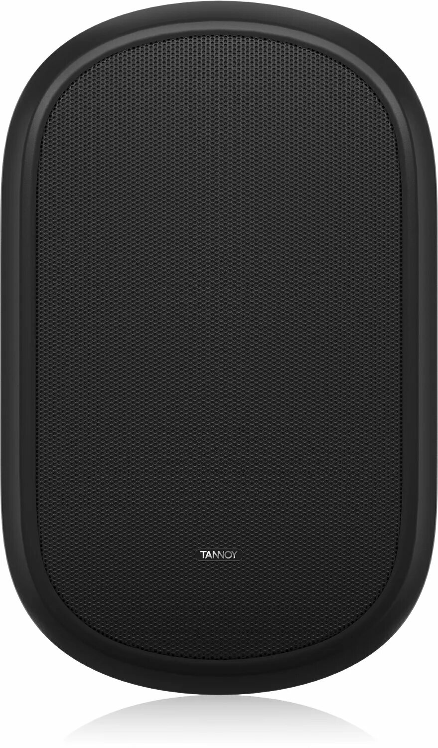 Акустическая система Tannoy DVS 401