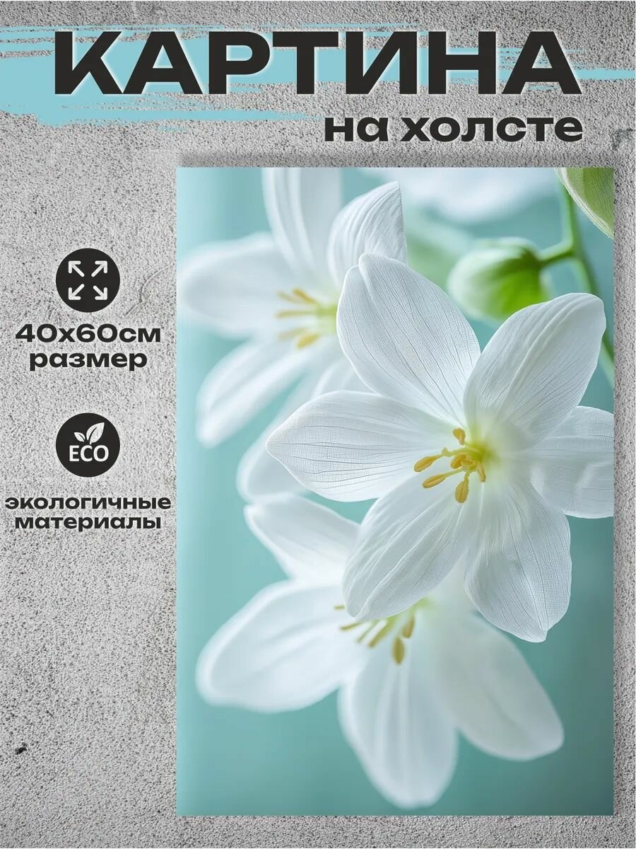 Картина на стену на холсте "Жасмин" 60х40 см