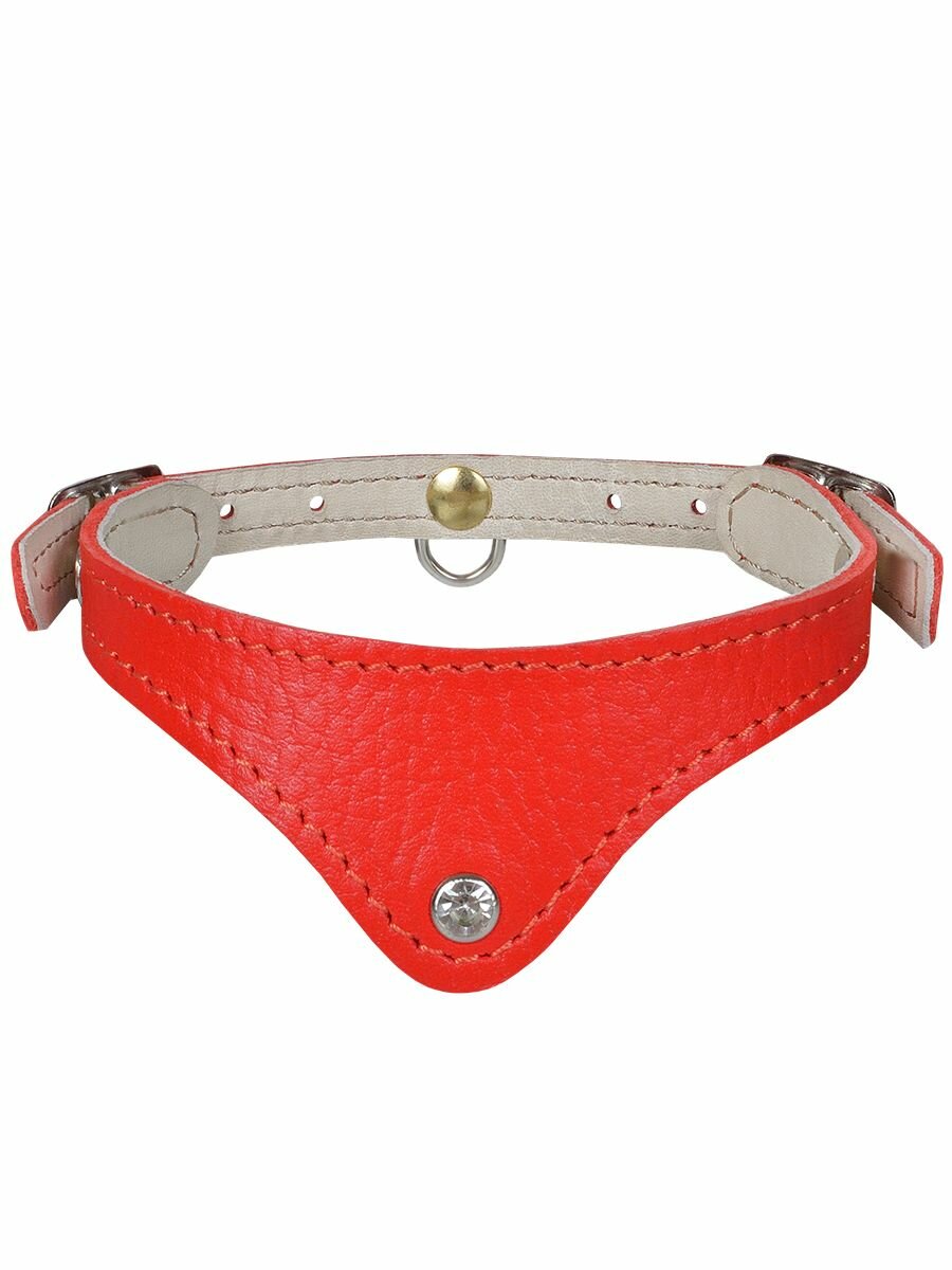 Ошейник для маленьких собак и кошек кожаный двухслойный CHOKERZ на шею 22-29 см