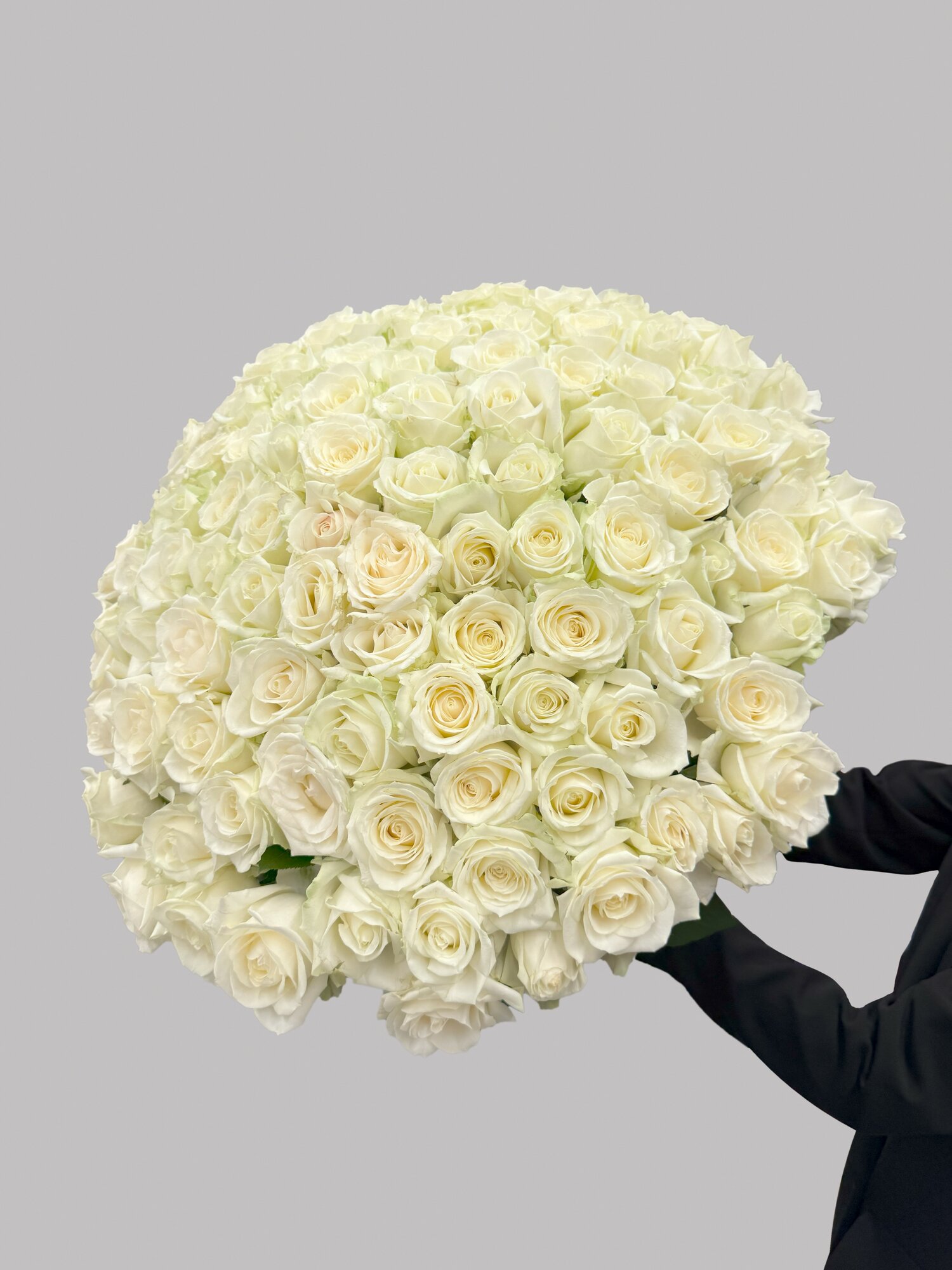 Букет живых цветов, белые розы 101 шт 50 см. "Аваланж", флау стор