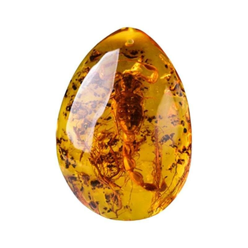 Ископаемые экземпляры янтарных насекомых, скорпионов