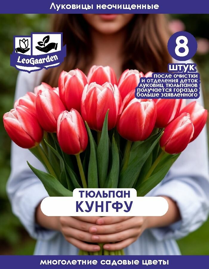 Тюльпан, Кунг Фу 8+ шт