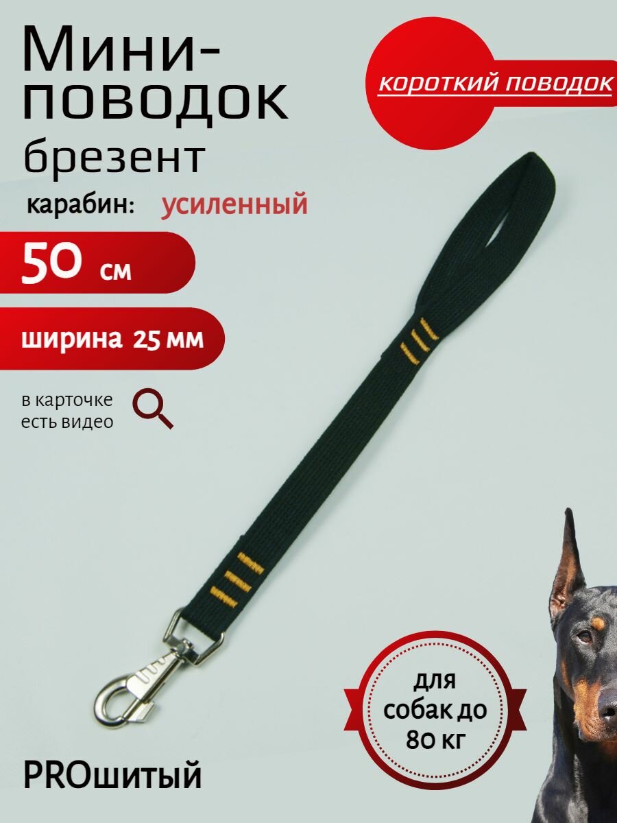 Мини-поводок Хвостатыч для собак с карабином прошитый брезент 50 см х 25 мм (черный)
