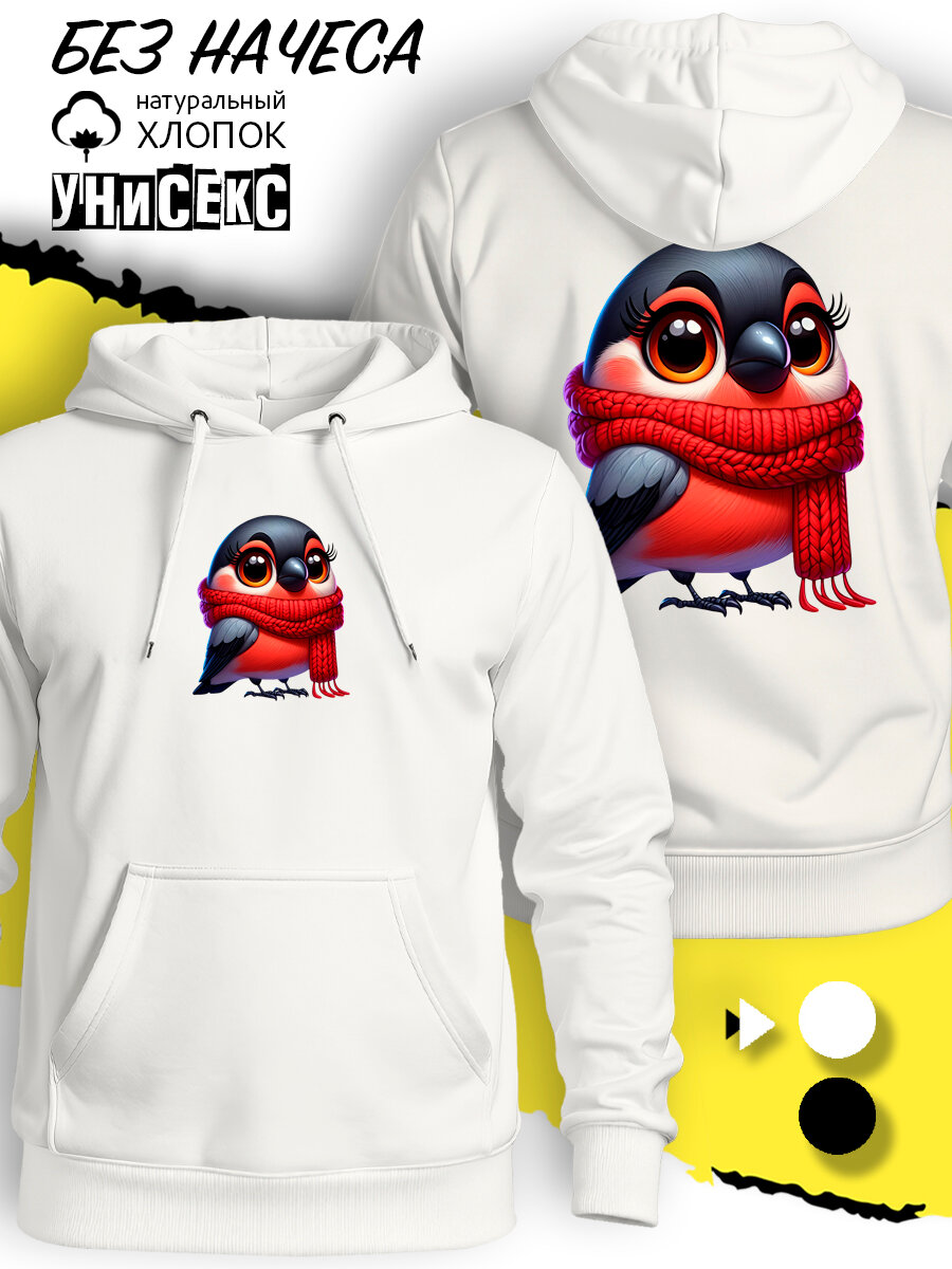 Худи Толстовка свитшот со снегирем