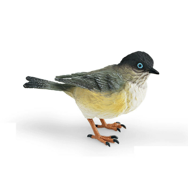 Realistic bird animal model for kids educational toys and nature enthusiasts in plastic construction, tit