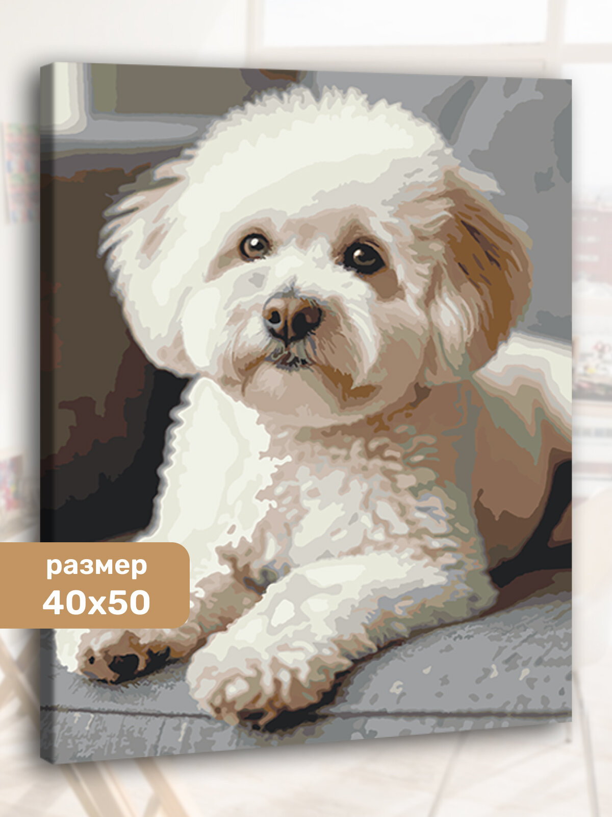 Картина по номерам на холсте и подрамнике"Йоркширский Терьер" 40x50см