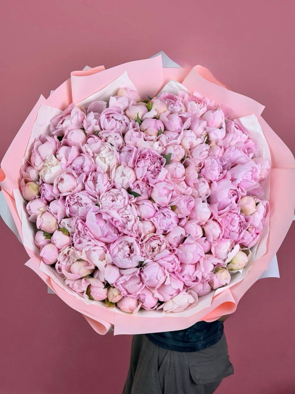 Большой букет из ароматных пионов "Сара Бернар" 101 шт. с доставкой до двери