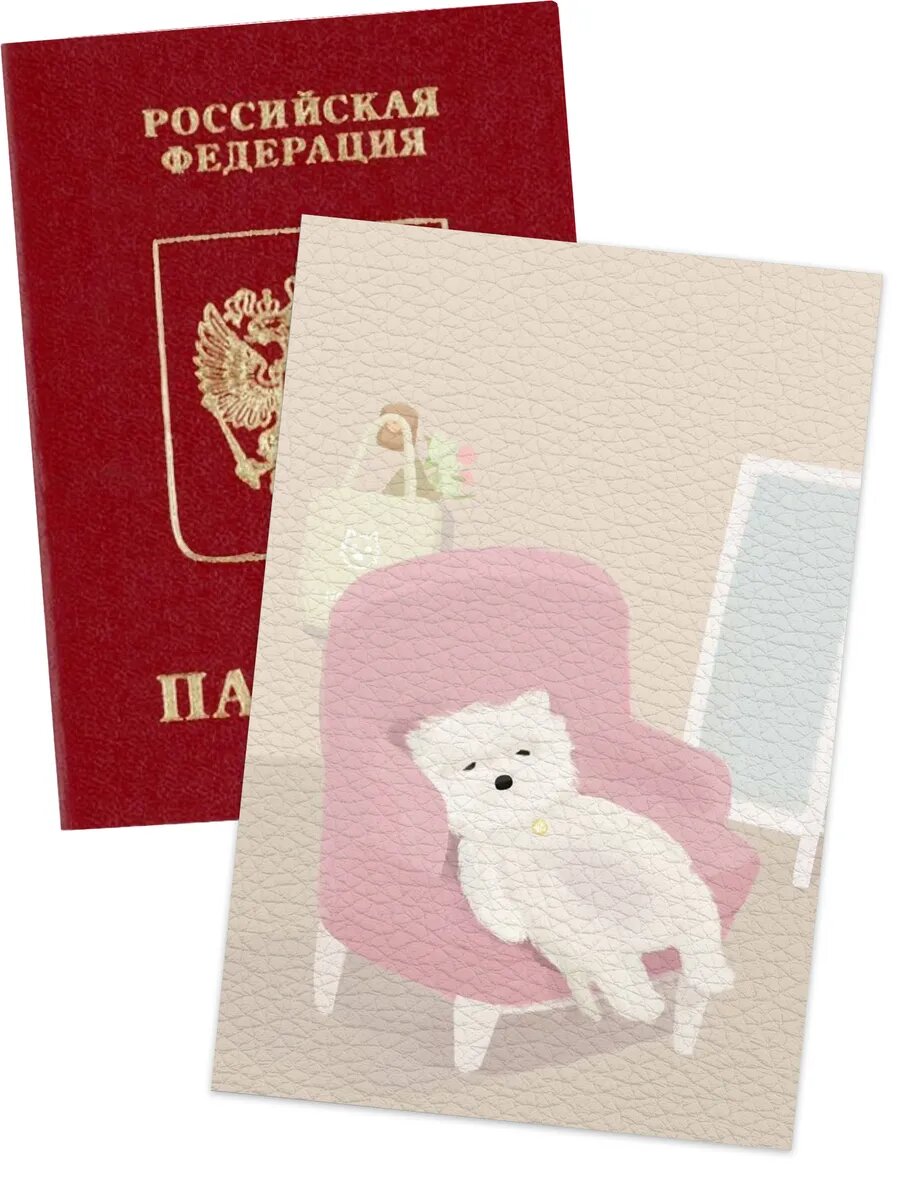 Обложка для паспорта