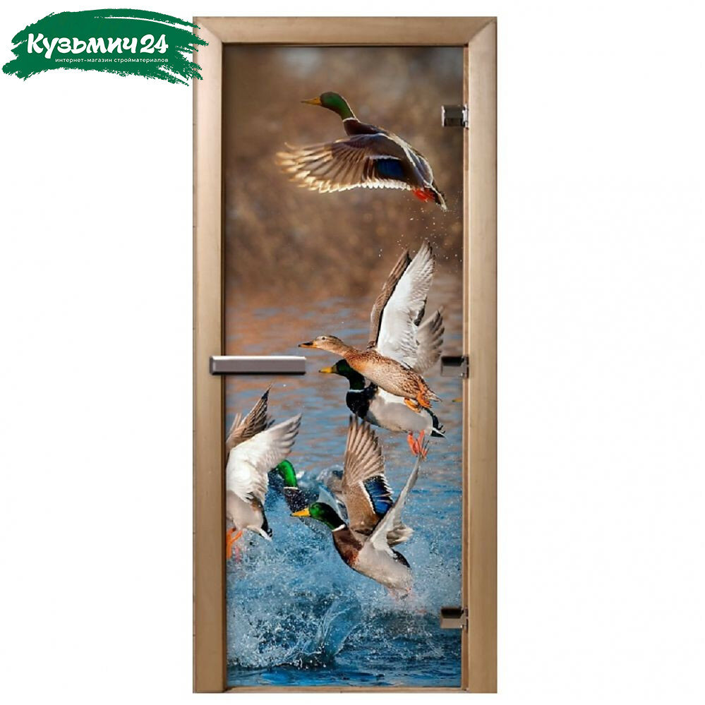 Дверь 212F с фотопечатью F286 1900х700 мм, стекло 8 мм, 3 петли, лиственная, 1 шт.