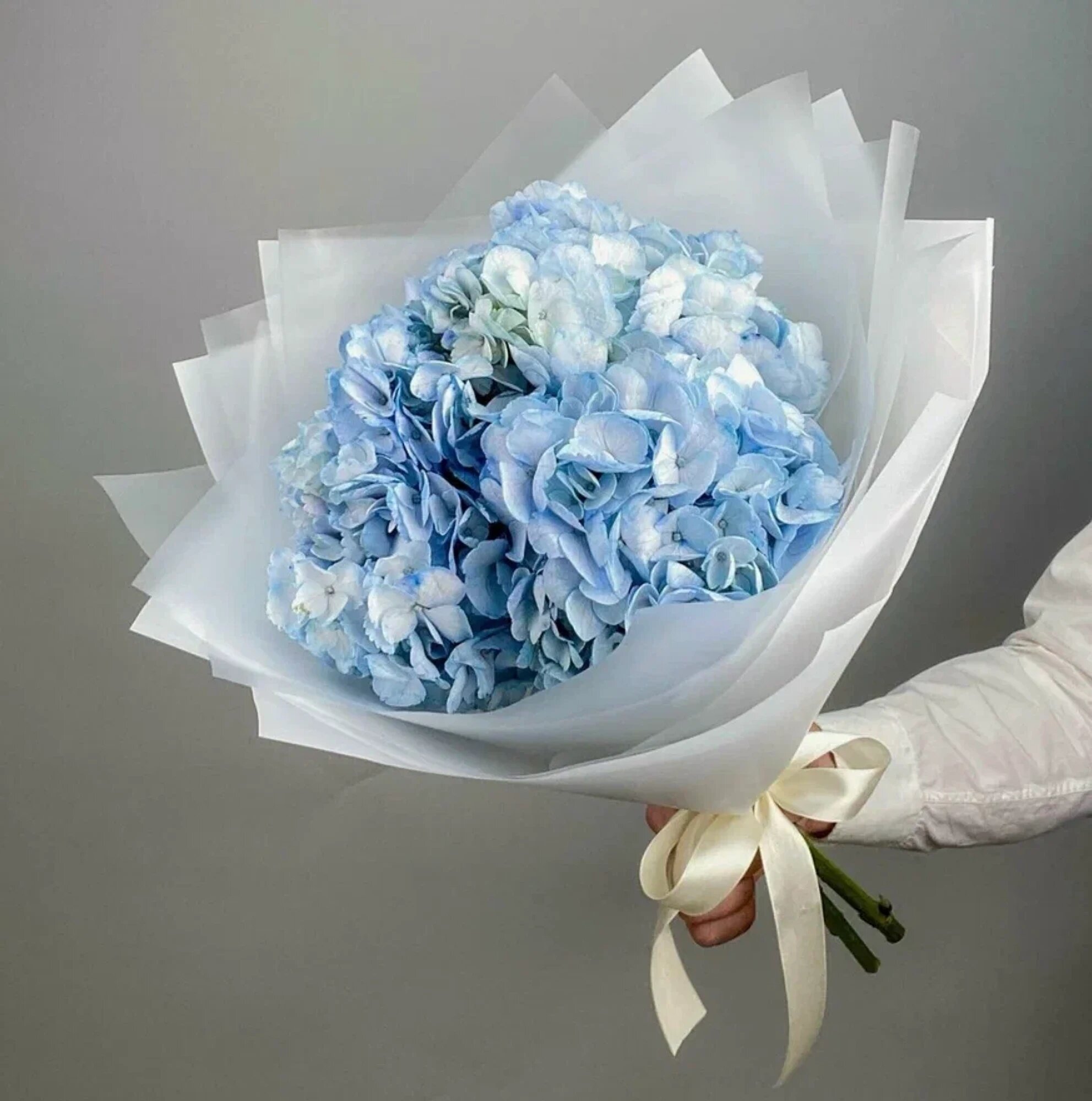 Букет ShokoFlowers "Голубые гортензии", 3 цветка, на стеблях, 1 упаковка