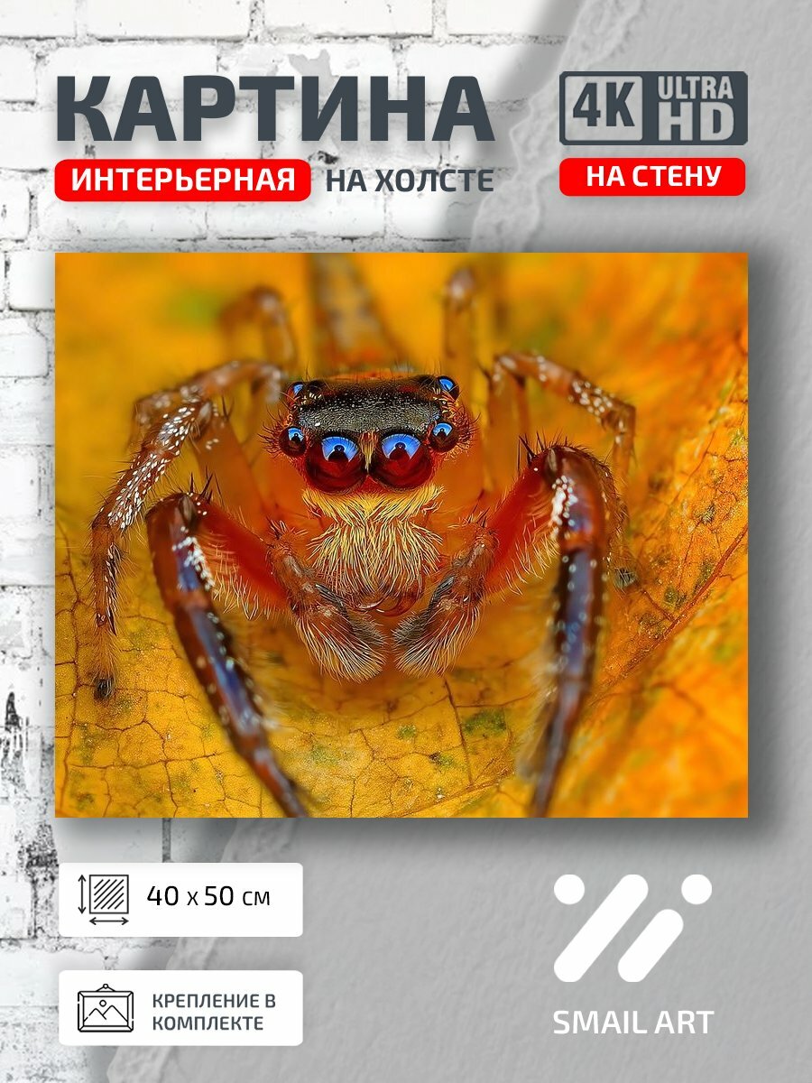 Картина на холсте интерьерная 40 на 50 на стену Лист Landscape для офиса пейзаж интерьер