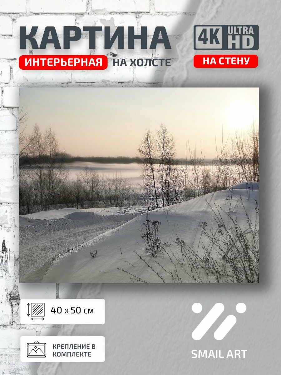 Картина на холсте интерьерная 40 на 50 на стену Зима Landscape для кабинета пейзаж интерьер