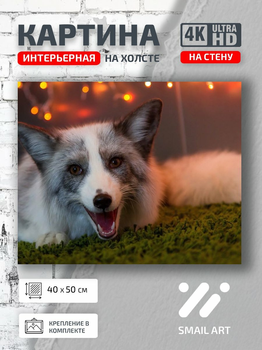 Картина на холсте интерьерная 40 на 50 на стену План Animal для кабинета animal style декор