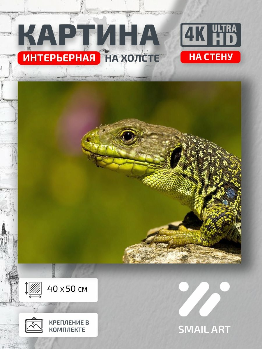 Картина на холсте интерьерная 40 на 50 на стену Ящерица Mood для студии атмосфера интерьер