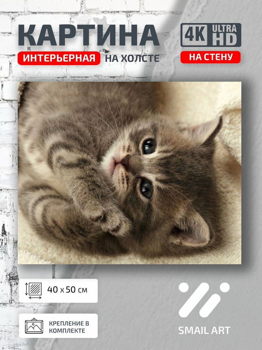 Картина на холсте интерьерная 40 на 50 на стену Плед Animal для спальни animal style декор