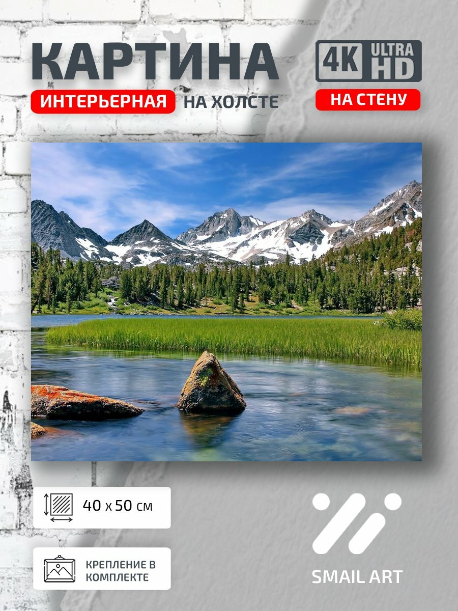 Картина на холсте интерьерная 40 на 50 на стену Деревья Landscape для кафе пейзаж интерьер