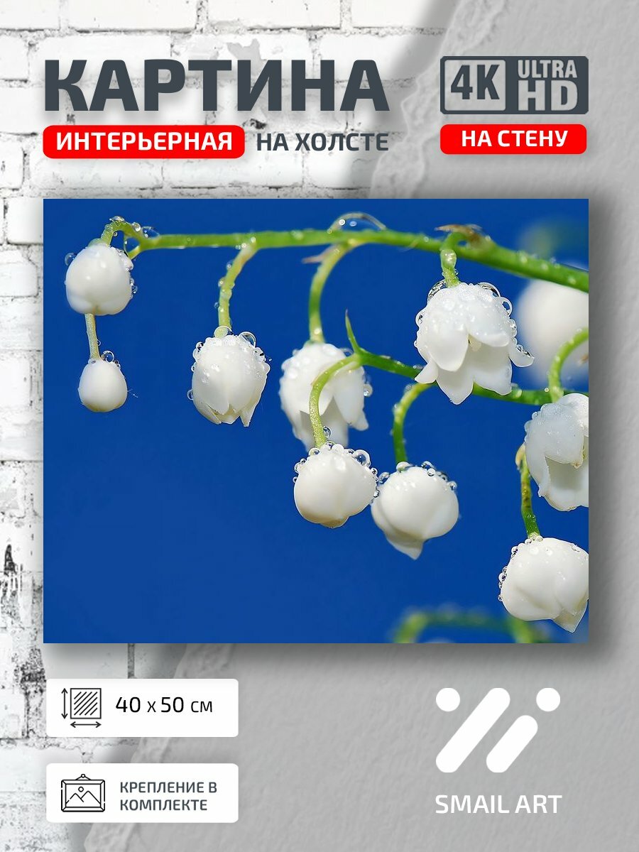Картина на холсте интерьерная 40 на 50 на стену Ландышей Mood для спальни атмосфера декор