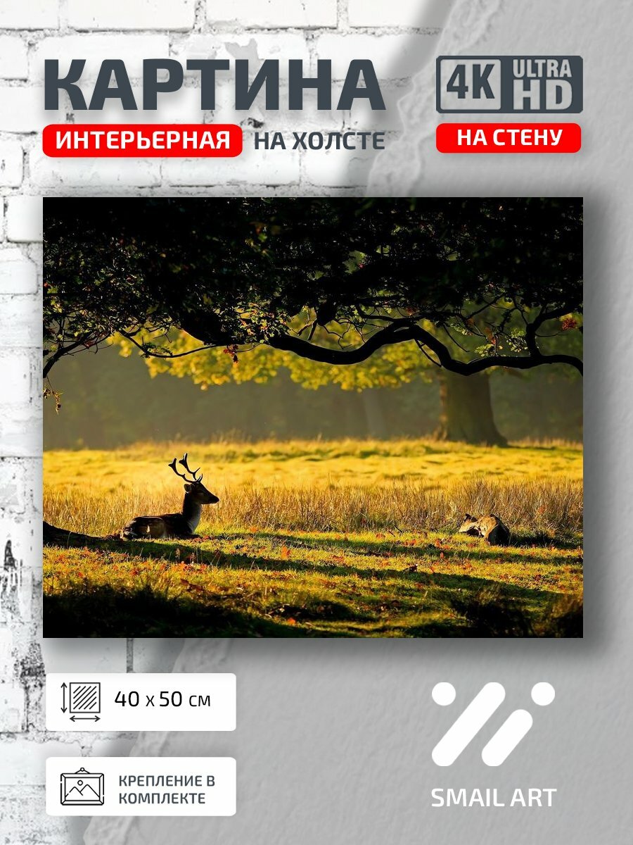 Картина на холсте интерьерная 40 на 50 на стену Лось Landscape для кабинета пейзаж интерьер