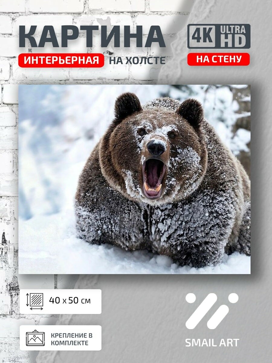 Картина на холсте интерьерная 40 на 50 на стену Животные Медведь для спальни атмосфера