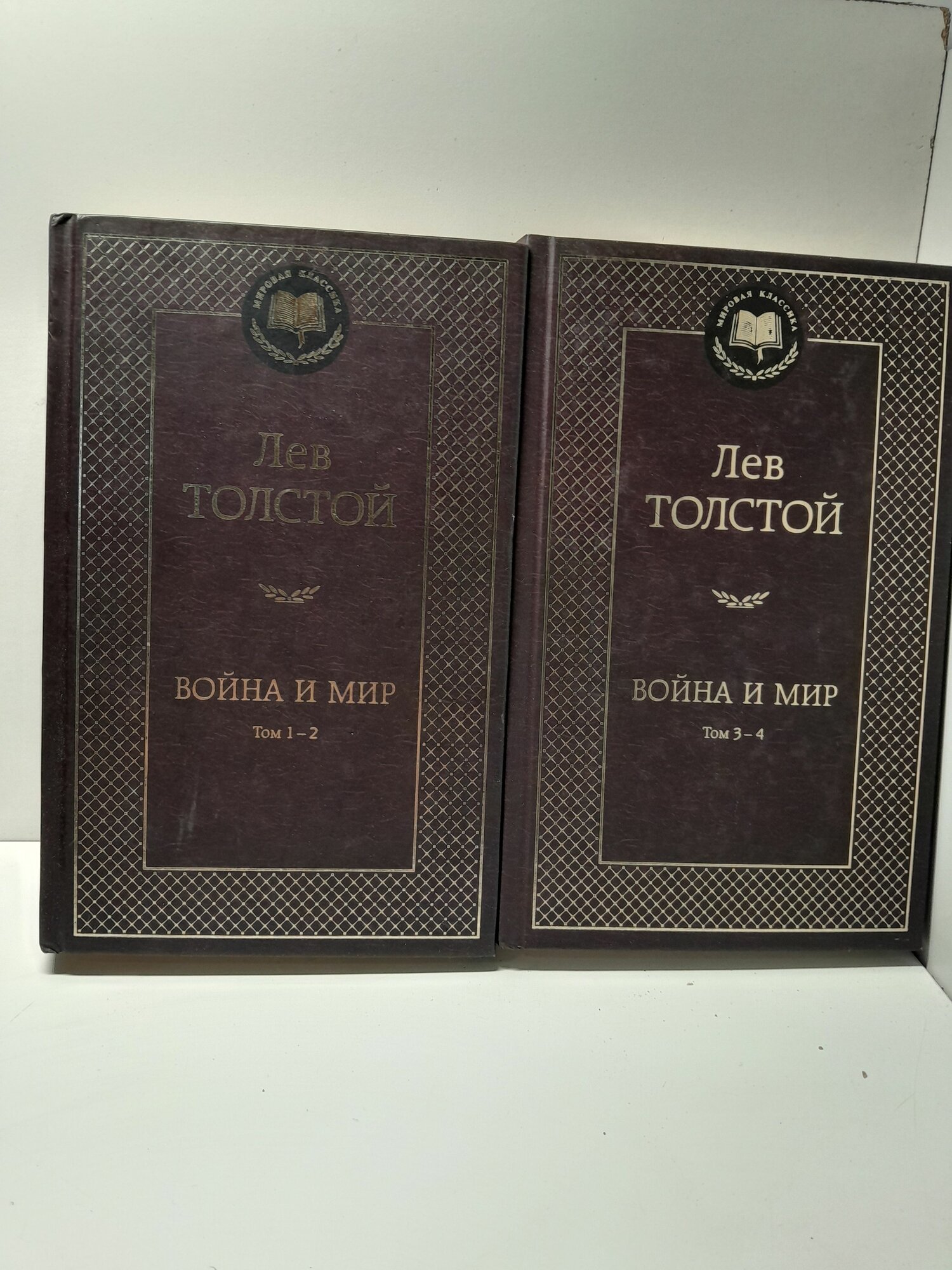 Война и мир в 2-х книгах / Лев Толстой