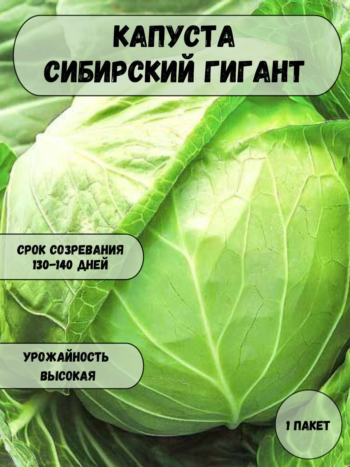 Капуста Сибирский Гигант семена 10 шт