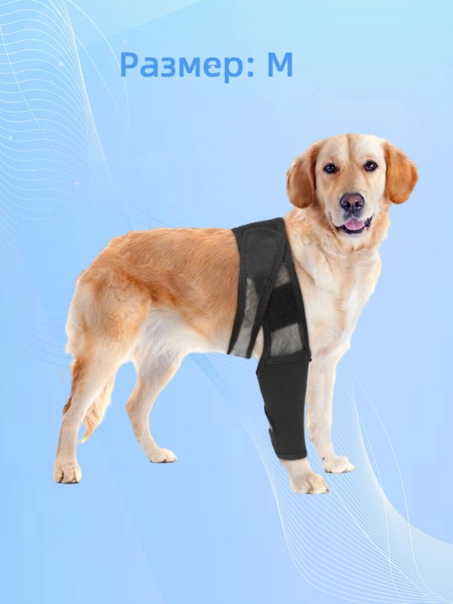Бандаж на локтевой и коленный сустав, протектор для лап, фиксатор колена для собак, при травмах ног, наколенники на передние и задние лапы