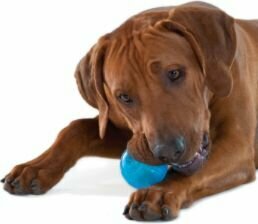 Игрушка для собак Petstages орка теннисный мяч 6см