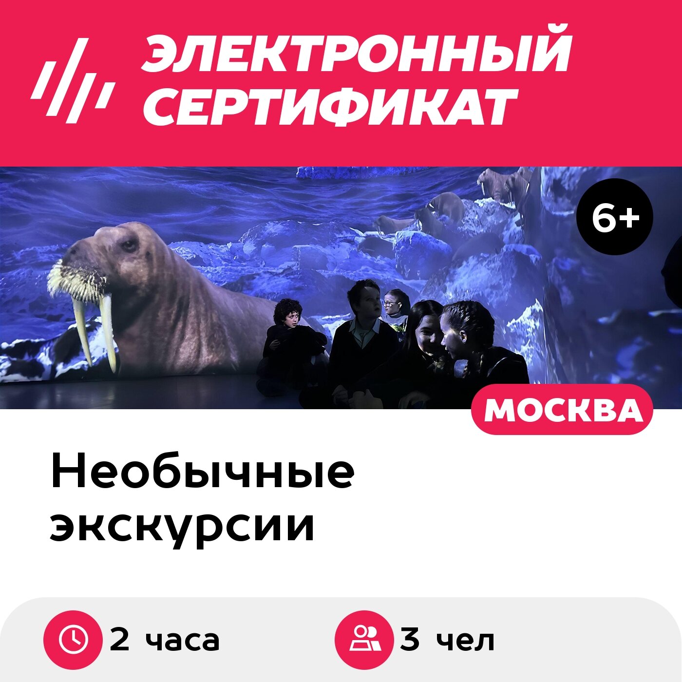 Подарочный сертификат Экскурсия В Тишине и Большая Страна, 1 взрослый и 2 детей, будни (2 часа)