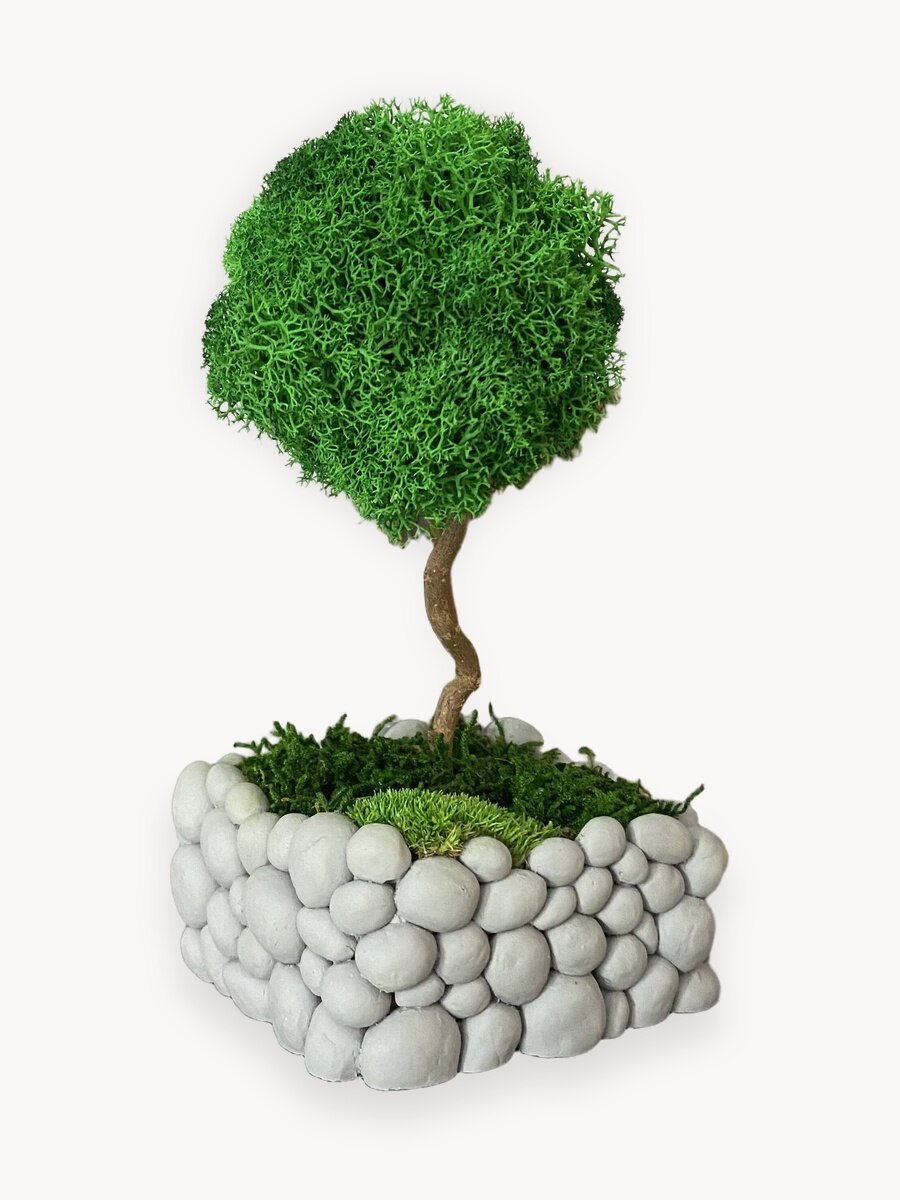 Кашпо-топиарий "Бонсай" мини Дом Мха - MossArt со стабилизированным мхом, бетон, высота 18 см. / декор для дома и офиса