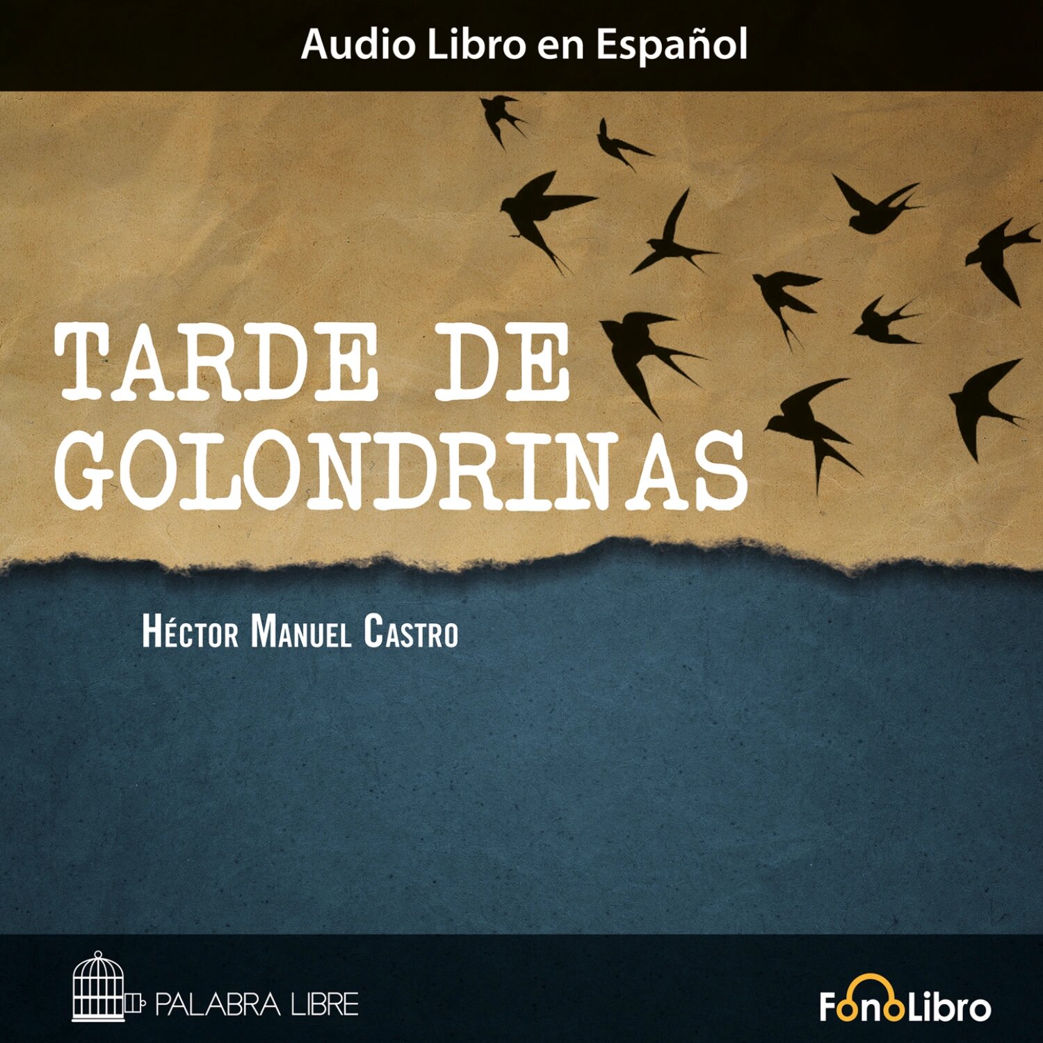 Tarde de Golondrinas (abreviado) [Аудиокнига]