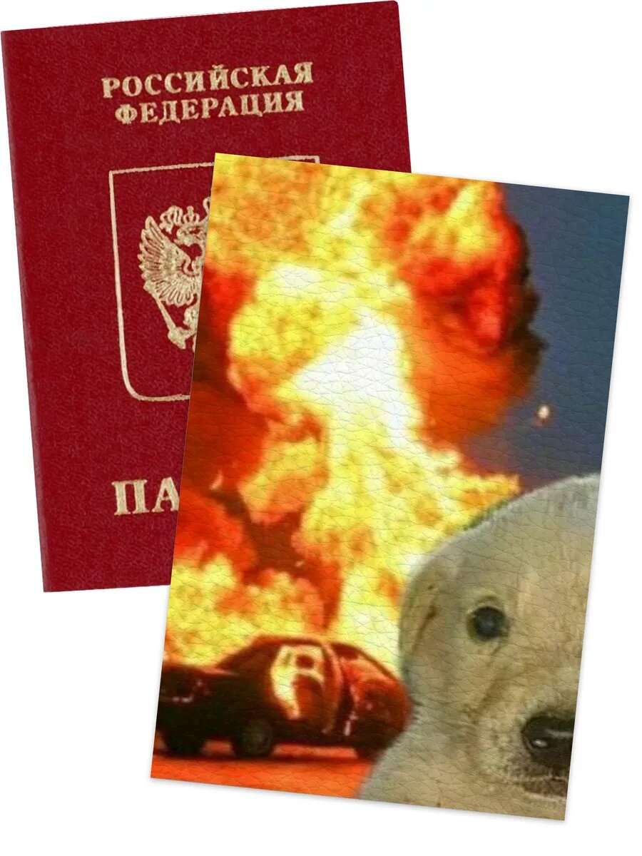 Обложка для паспорта