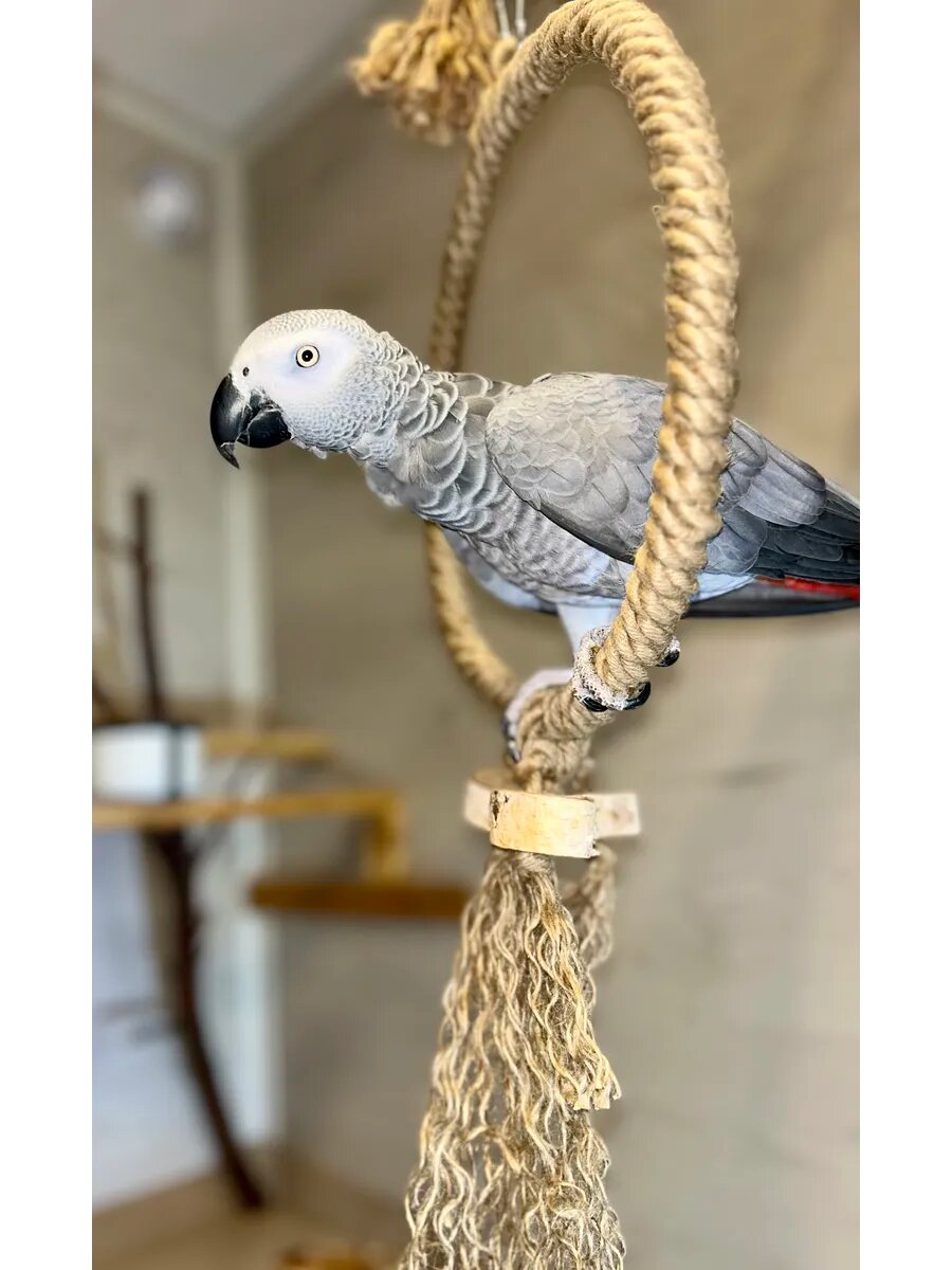 Джутовое кольцо с березовыми игрушками-качелька для попугая