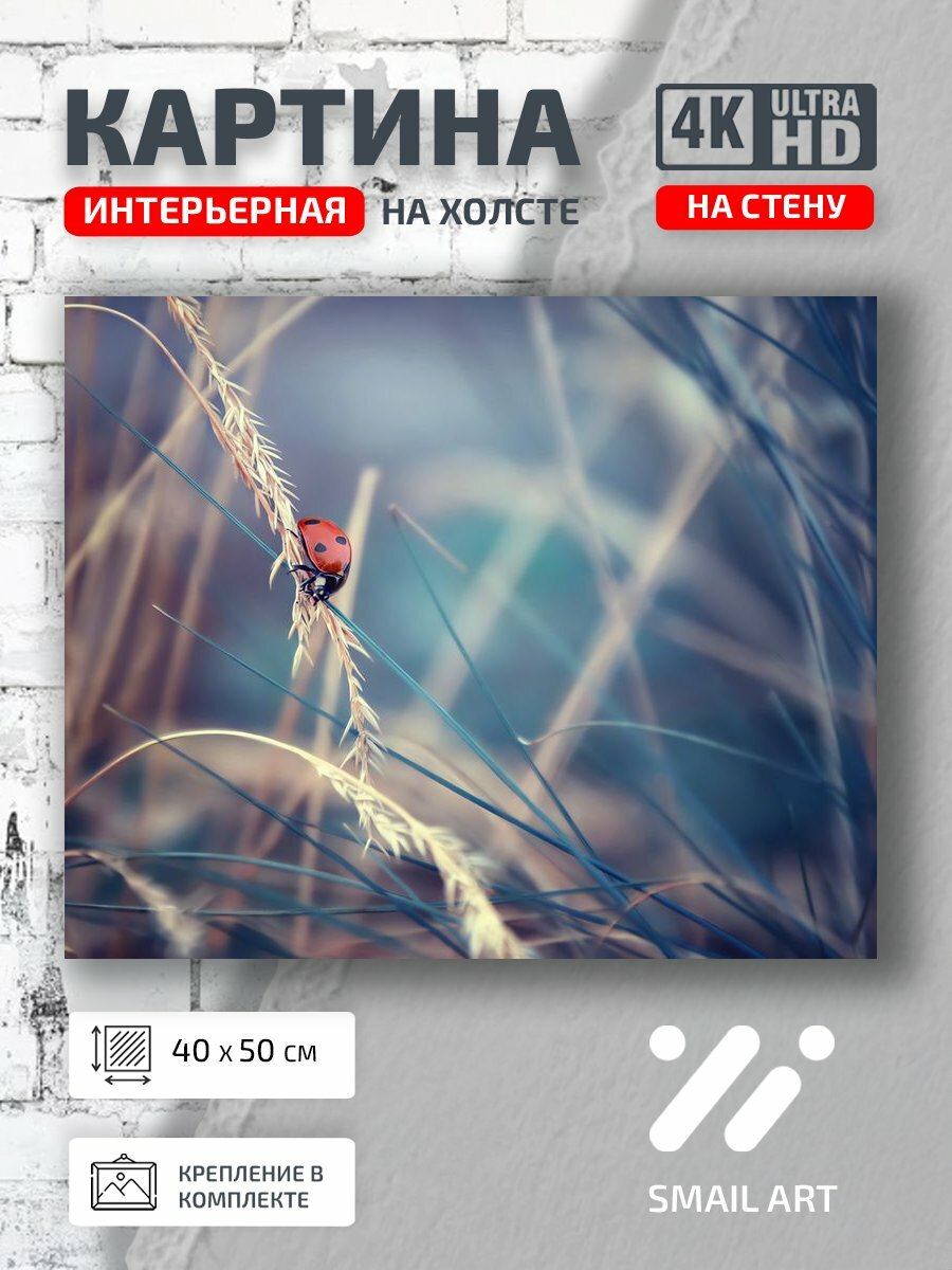 Картина на холсте интерьерная 40 на 50 на стену Насекомое Landscape для кафе пейзаж декор