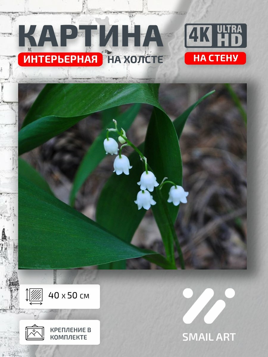 Картина на холсте интерьерная 40 на 50 на стену Белые Mood для кабинета атмосфера интерьер