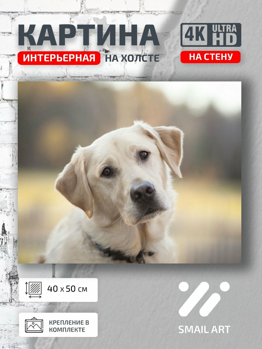 Картина на холсте интерьерная 40 на 50 на стену Глаза Mood для спальни атмосфера интерьер