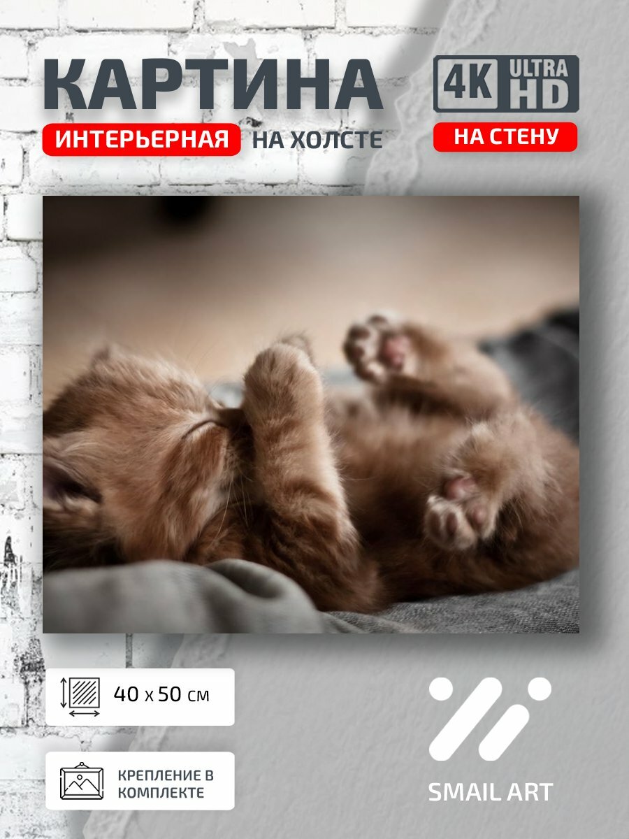 Картина на холсте интерьерная 40 на 50 на стену Рыжий Animal для спальни animal style декор