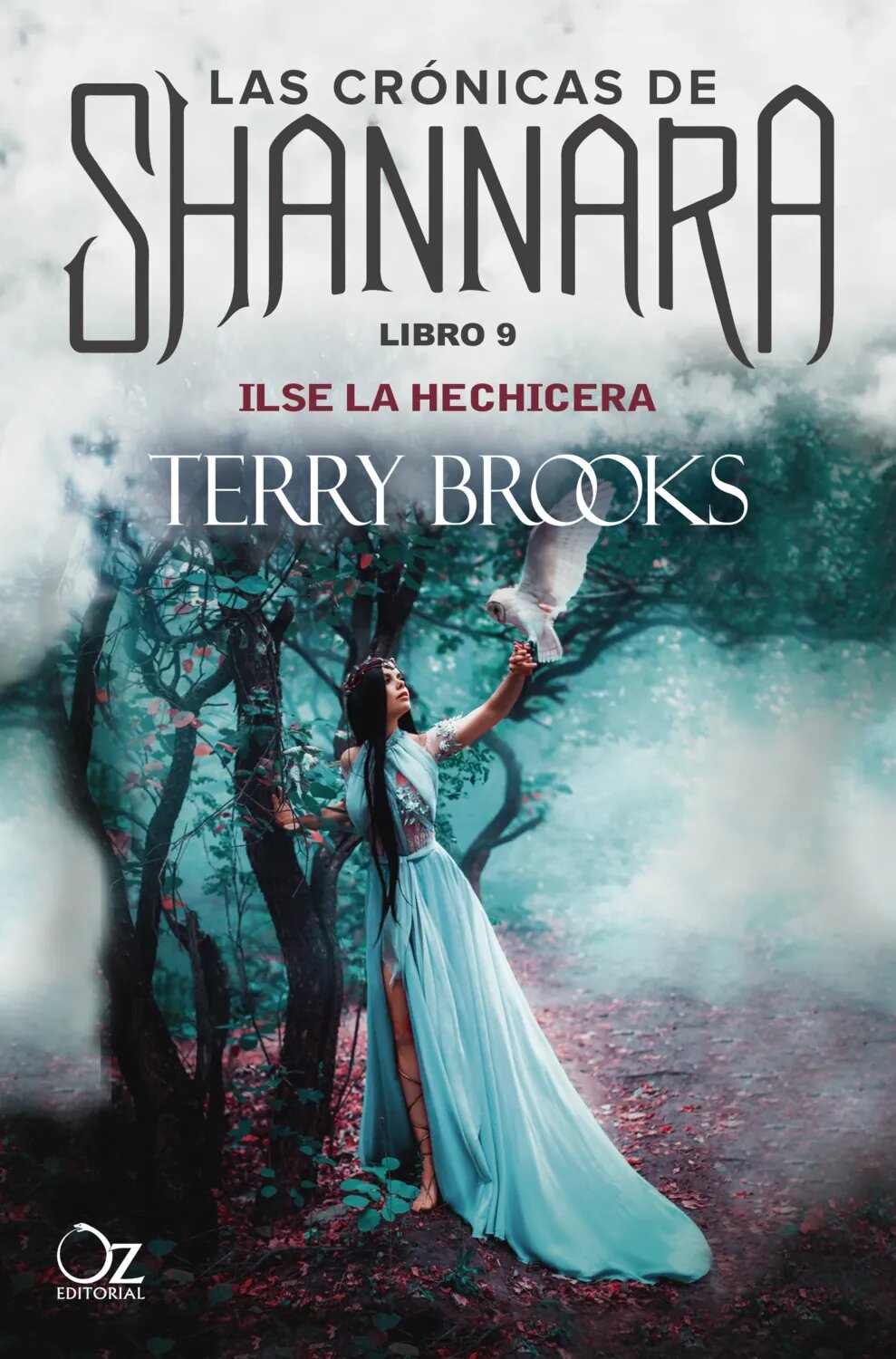 Ilse la hechicera [Цифровая книга]