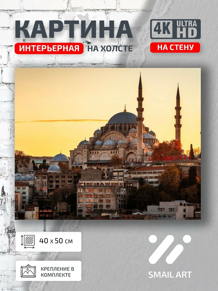 Картина на холсте интерьерная 40 на 50 на стену Город Стамбул для офиса атмосфера