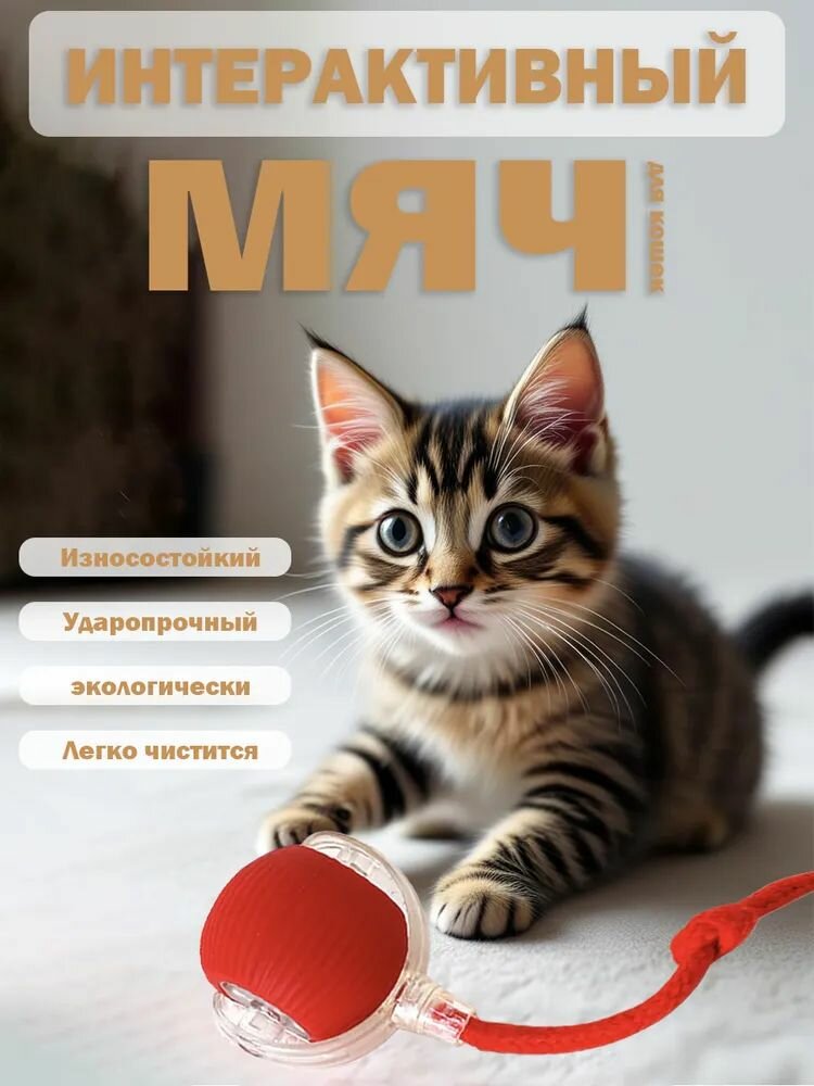 Игрушки для домашних кошек, умный мяч для кошек, Порт для зарядки TYPE-C, вес 55 г, пищевой силикон, красный,1 шт